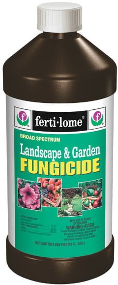 Powdery Mildew | Premier Nursery