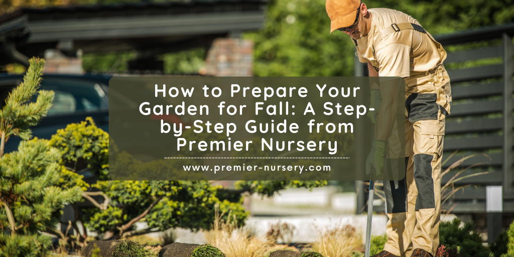 How to Prepare Your Garden for Fall: A Step-by-Step Guide from Premier ...