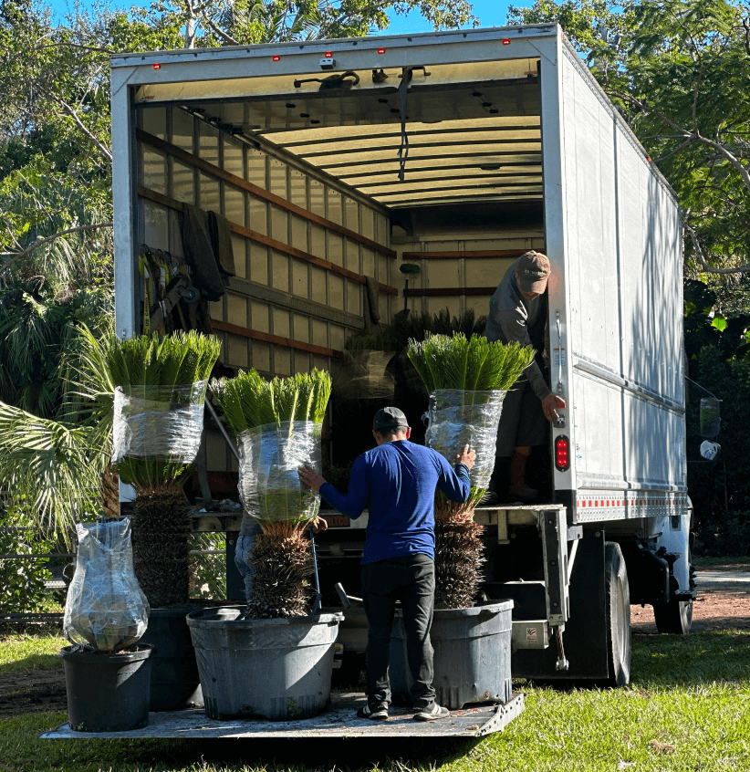 Wholesale Plant Nursery - Euless and Benbrook - Premier Nursery - Plant Nursery