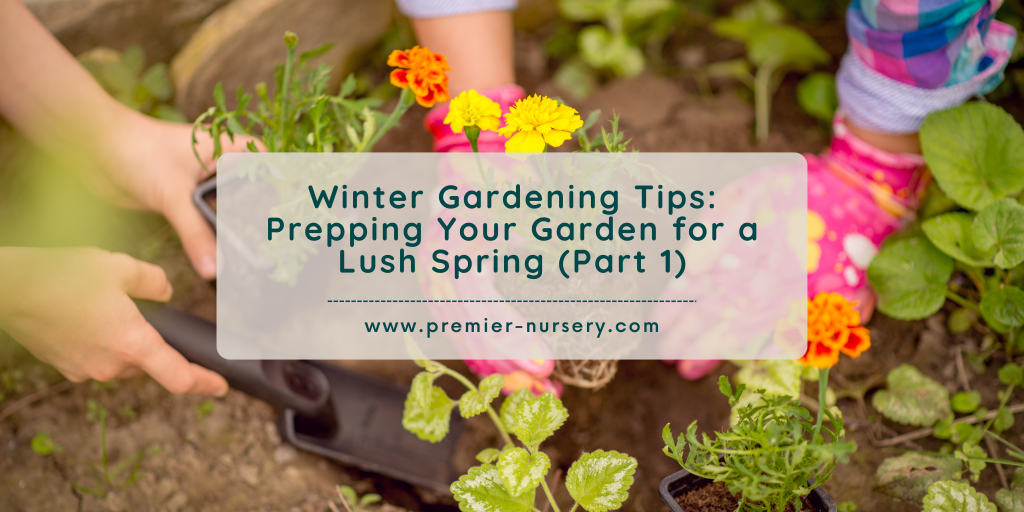 Winter Gardening Tips: Prepping Your Garden for a Lush Spring (Part 1 ...