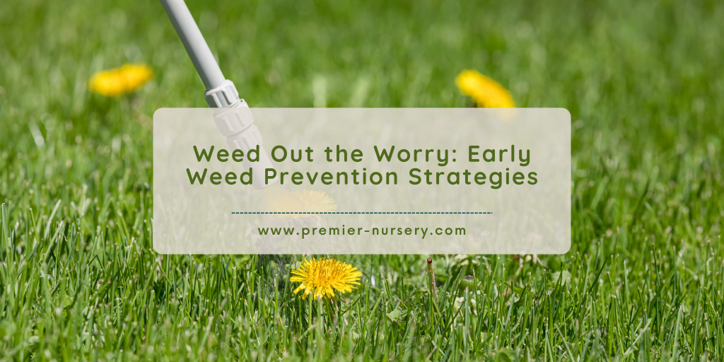 Weed Out the Worry: Early Weed Prevention Strategies - Premier Nursery ...