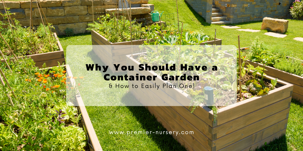 Why You Should Have a Container Garden, & How to Easily Plan One ...