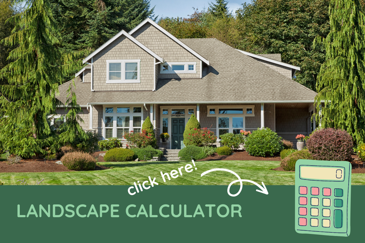 Landscaping on a Budget: Maximizing Value with Affordable Plants and ...