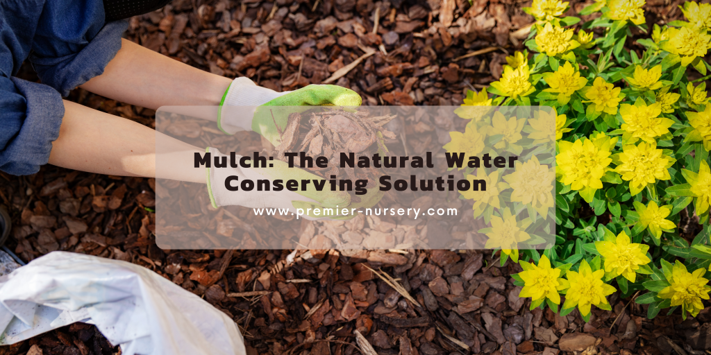 Mulch: The Natural Water Conserving Solution - Premier Nursery - Plant ...