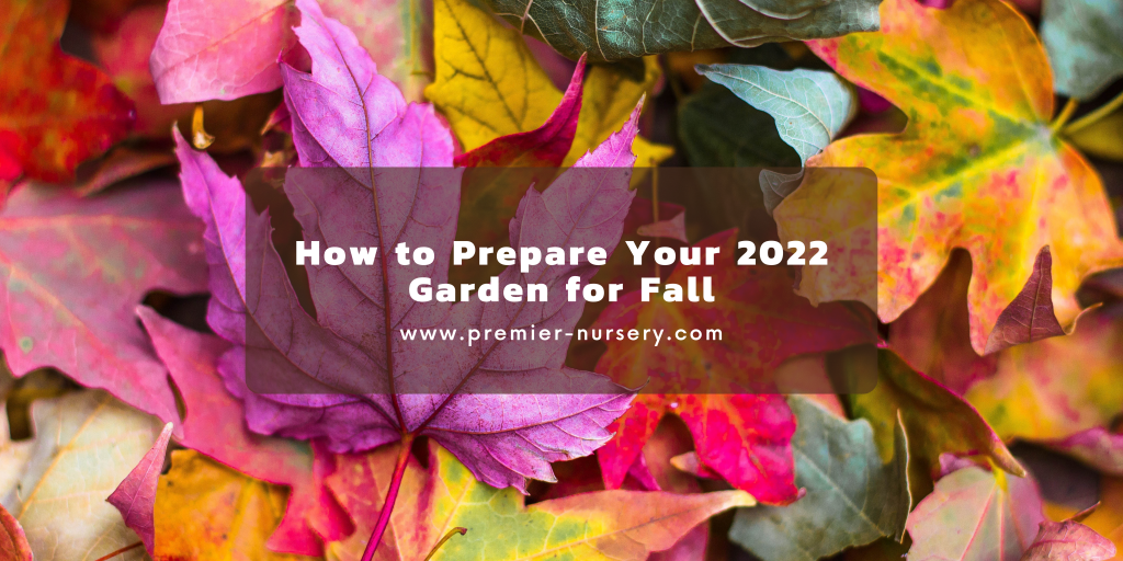 How to Prepare Your 2022 Garden for Fall - Premier Nursery - Plant Nursery