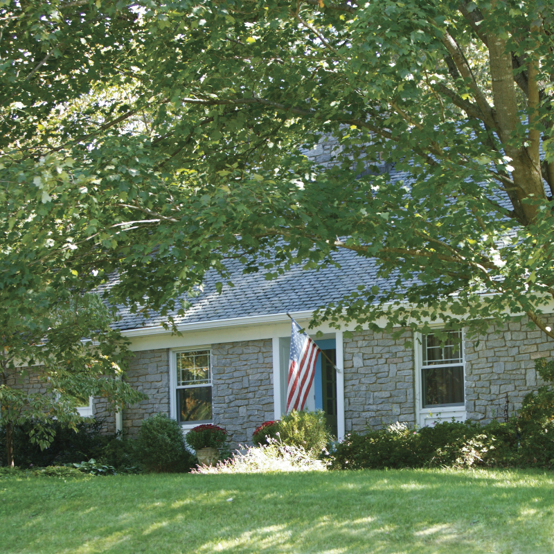 The Benefit of Planting Shade Trees in Your Yard - Premier Nursery ...