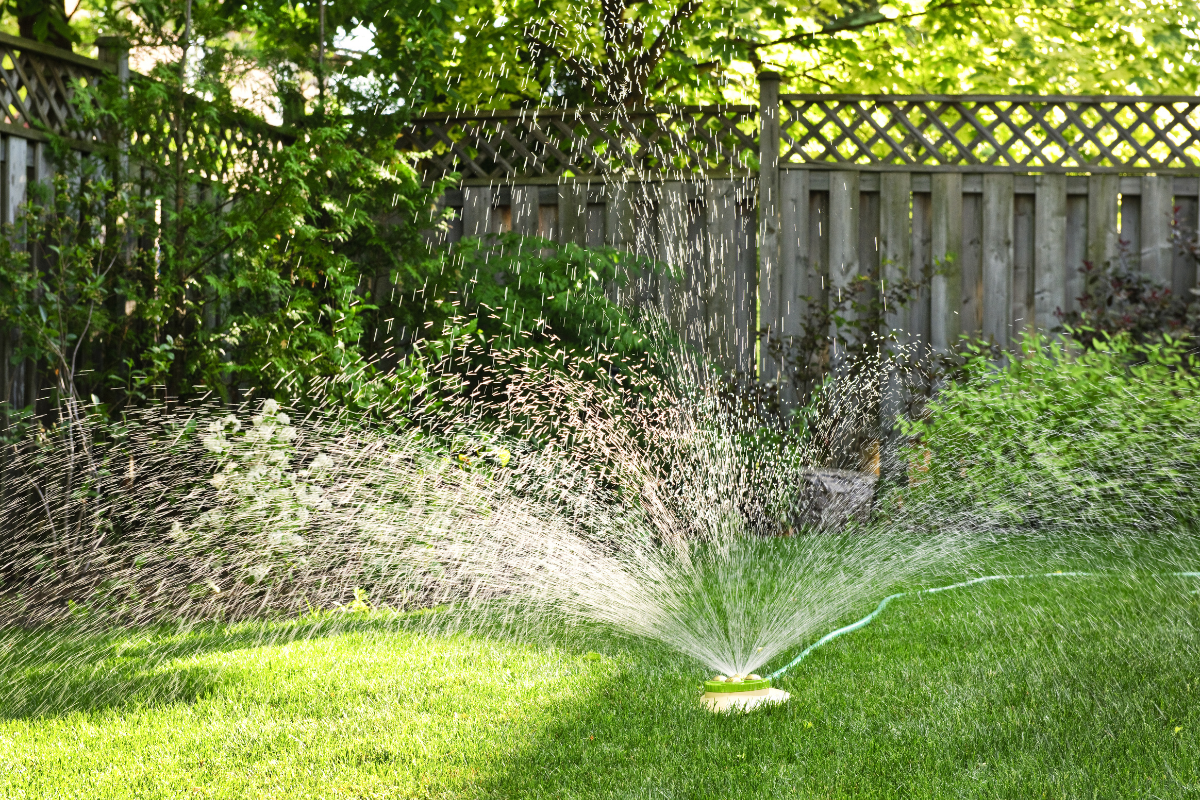 Pre-Emergent Herbicides - Premier Nursery - Plant Nursery